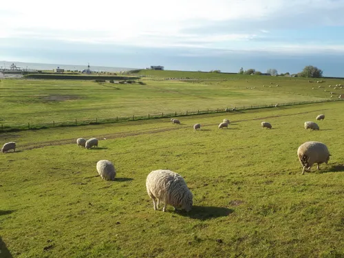 Best River Trails in Lower Saxon Wadden Sea National Park | AllTrails