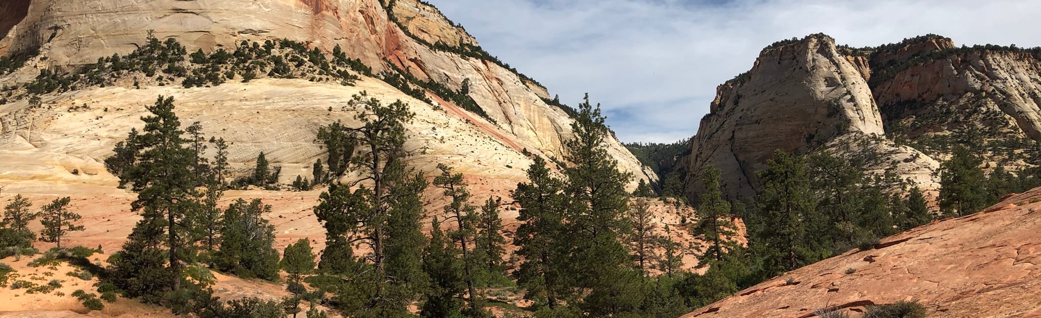 Checkerboard Mesa Canyon Trail, Utah - 151 Reviews, Map | AllTrails