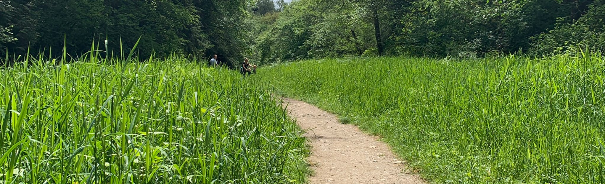 Main Trail and Pipeline Trail Loop: 477 Reviews, Map - Washington ...