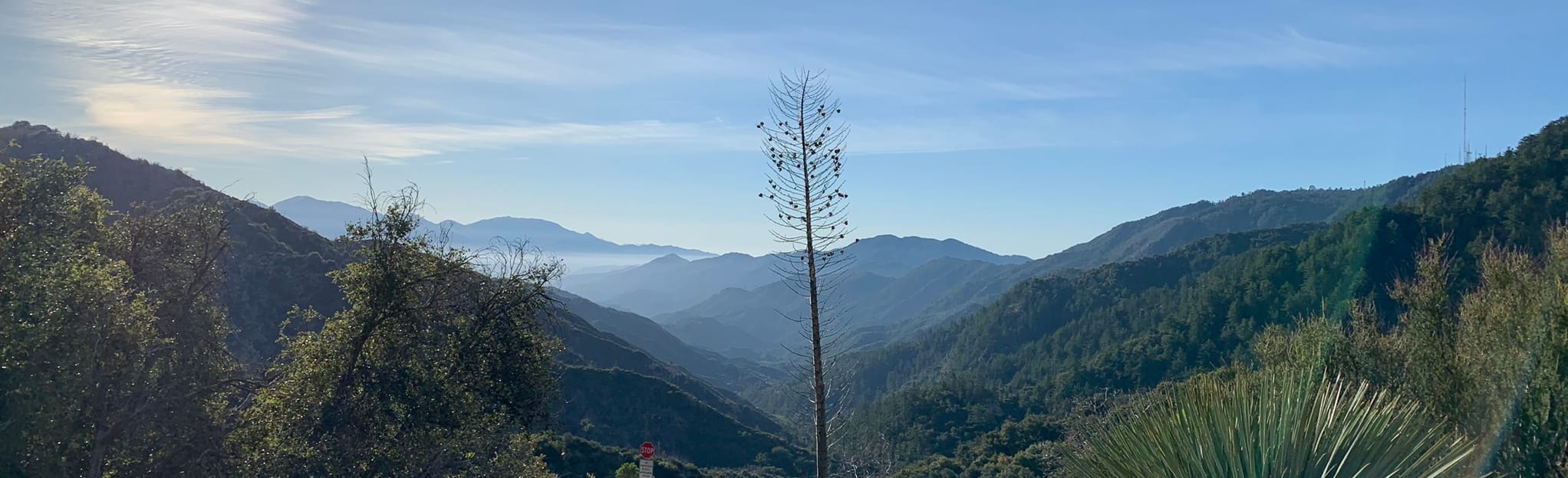 Mount Lawlor via Strawberry Peak Trail Loop: 204 Reviews, Map ...