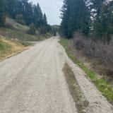 Stone Creek Trail, Montana - 78 Reviews, Map | AllTrails