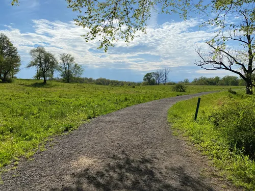 2023 Best 10 Forest Trails in Rockefeller State Park Preserve | AllTrails