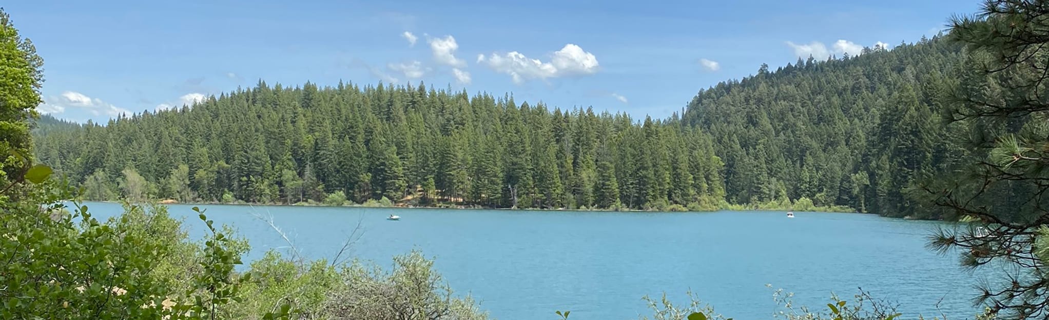 Jenkinson Lake Loop, California - 2,465 Reviews, Map | AllTrails