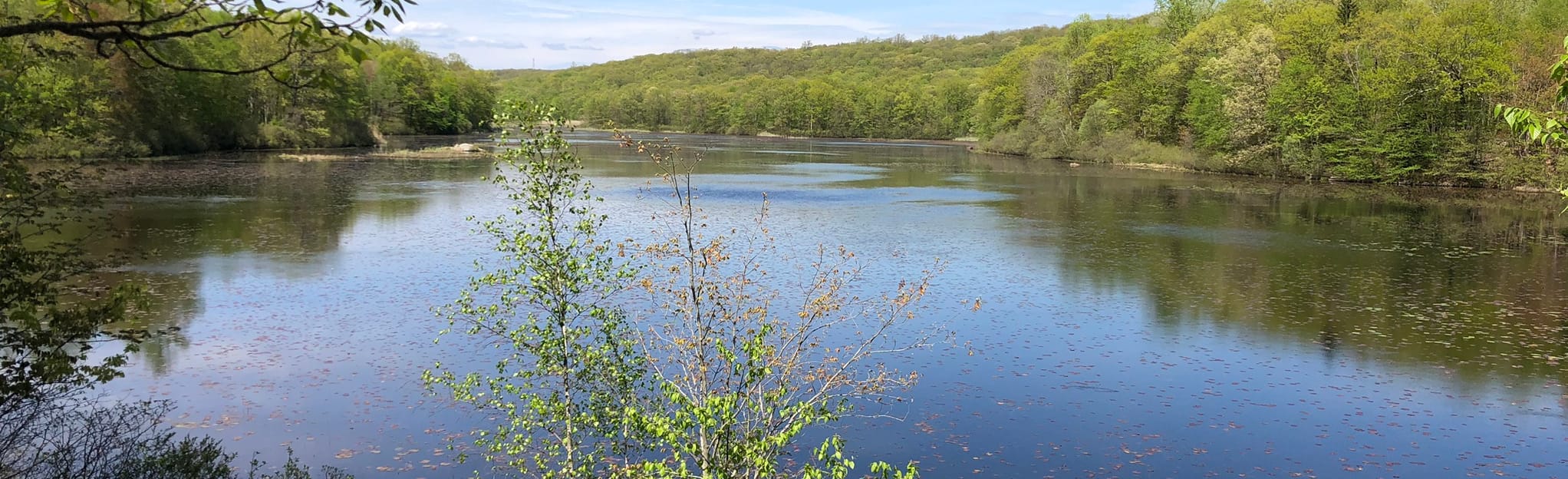 Bear Swamp Lake and Rocky Mountain Loop: 1.886 fotos - Nova Jérsia ...