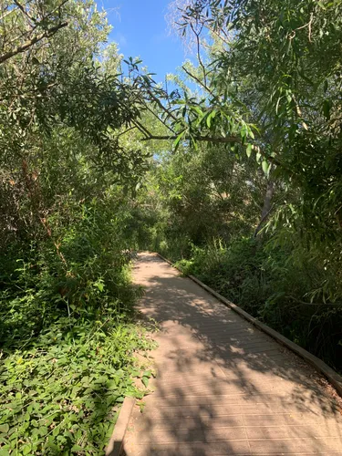 10 Best Trails and Hikes in Oceanside | AllTrails