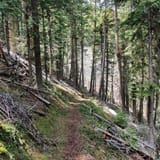 Chief Joseph Summit Trail, Oregon - 88 Reviews, Map | AllTrails