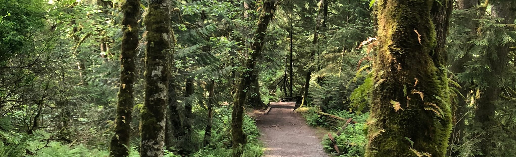 Kanaka Creek Canyon Trail, British Columbia, Canada - 442 Reviews, Map ...