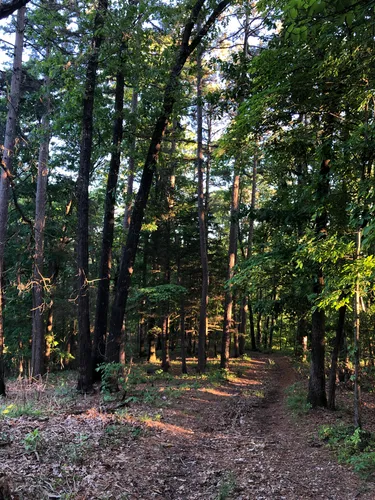 Best Hikes and Trails in Huckleberry Ridge Conservation Area | AllTrails