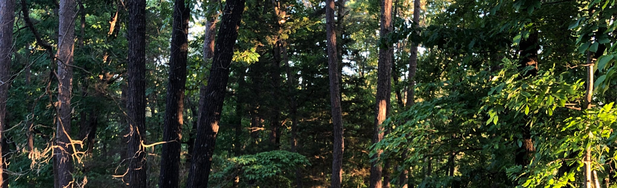 Huckleberry Ridge Conservation Area Trail, Missouri - 54 Reviews, Map ...