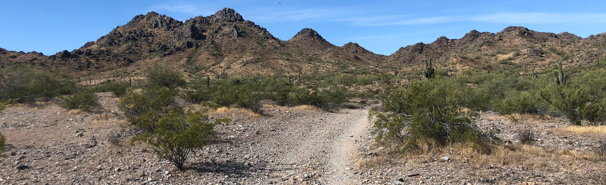 Phoenix Mountains MTB Loop: 2.430 foto's - Arizona | AllTrails