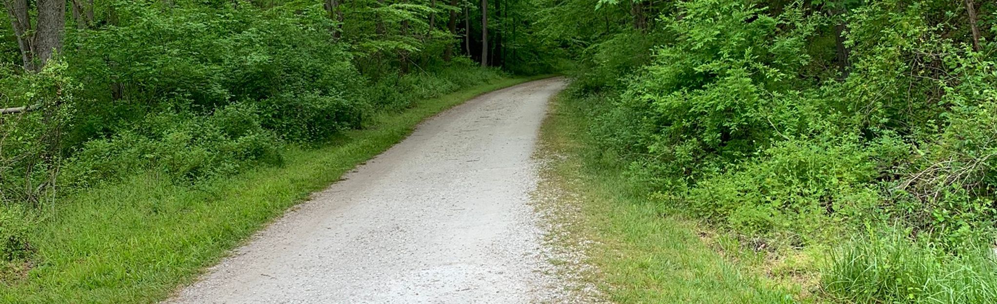 AllTrails | Northern Central Rail Trail (Torrey C. Brown Trail): 615 ...