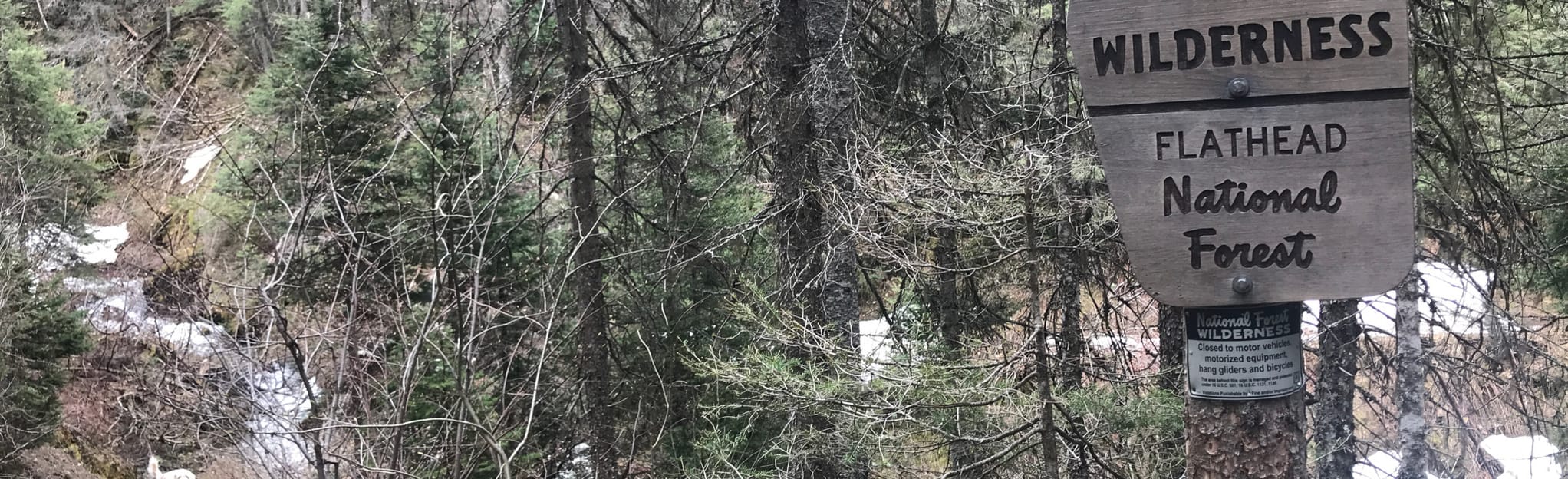 Mount Furlong Trail: 11 Reviews, Map - Montana | AllTrails