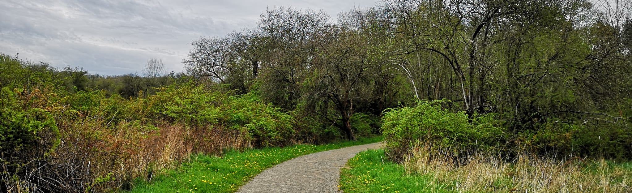 Main Loop Trail, Ontario, Canada - 1,188 Reviews, Map | AllTrails