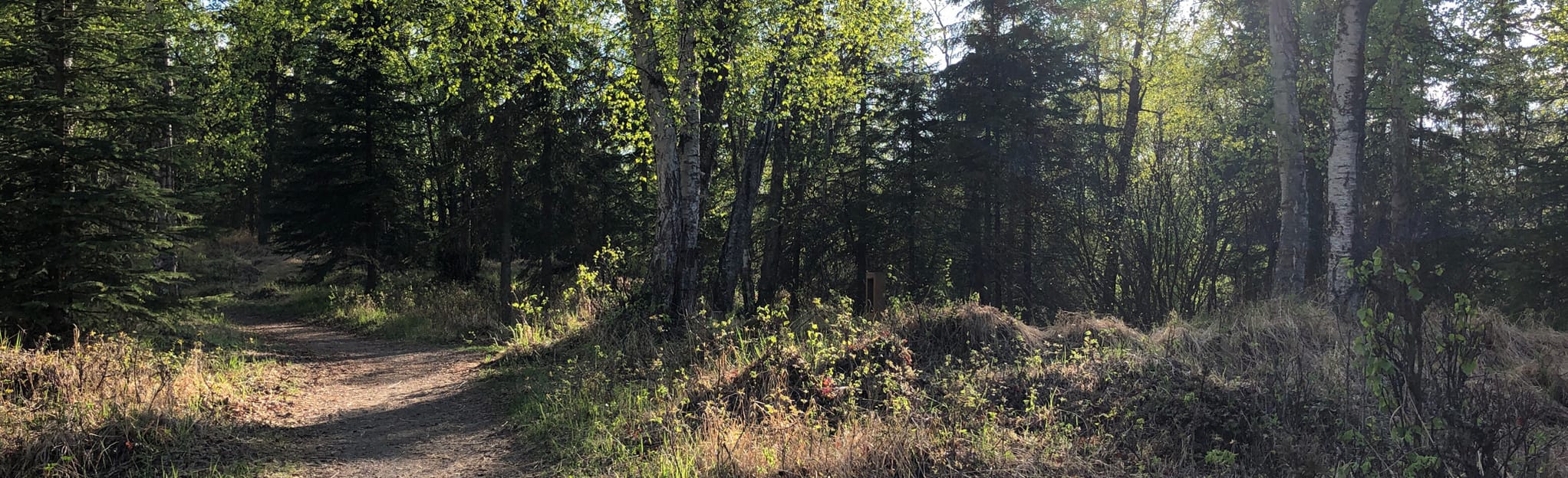 Muldoon Park Loop: 37 Reviews, Map - Alaska | AllTrails