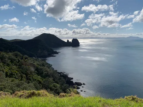 10 Best Trails and Hikes in Coromandel | AllTrails