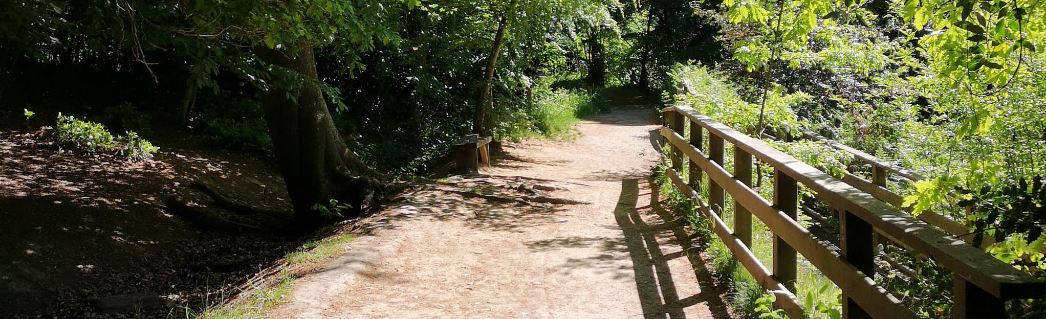 The Vyne and Morgaston Wood: 29 Reviews, Map - Hampshire, England ...