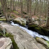 Mattatuck Trail: Wolcott to Brophy Pond, Connecticut - 146 Reviews, Map ...