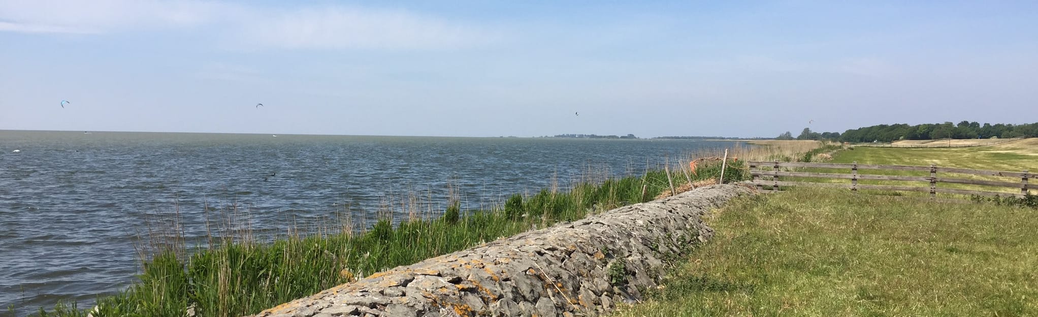 Gaasterland - Rijsterbos, Frísia, Netherlands - 7 Reviews, Map | AllTrails
