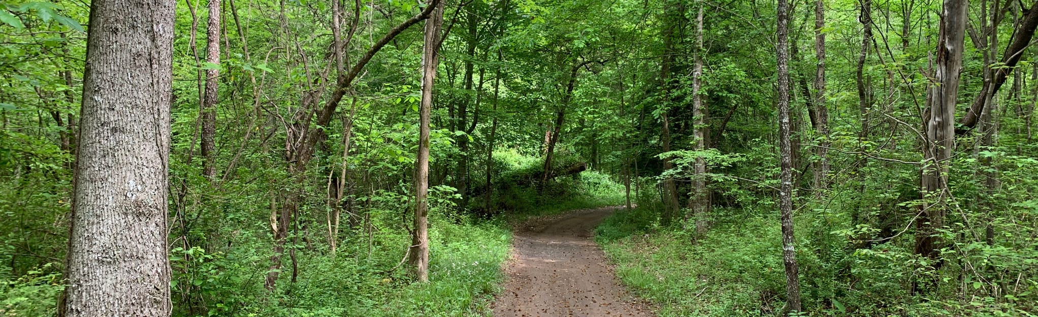 Boone Trace Loop | Map, Guide - Kentucky | AllTrails