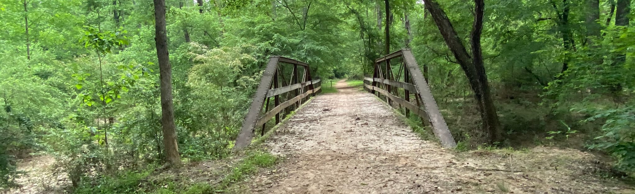 Beech Tree and Foster Mill Loop Trail, South Carolina - 136 Reviews ...