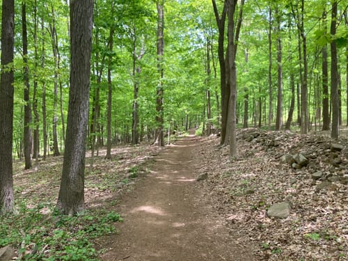 2023 Best Trail Running Trails in Ted Stiles Preserve at Baldpate ...