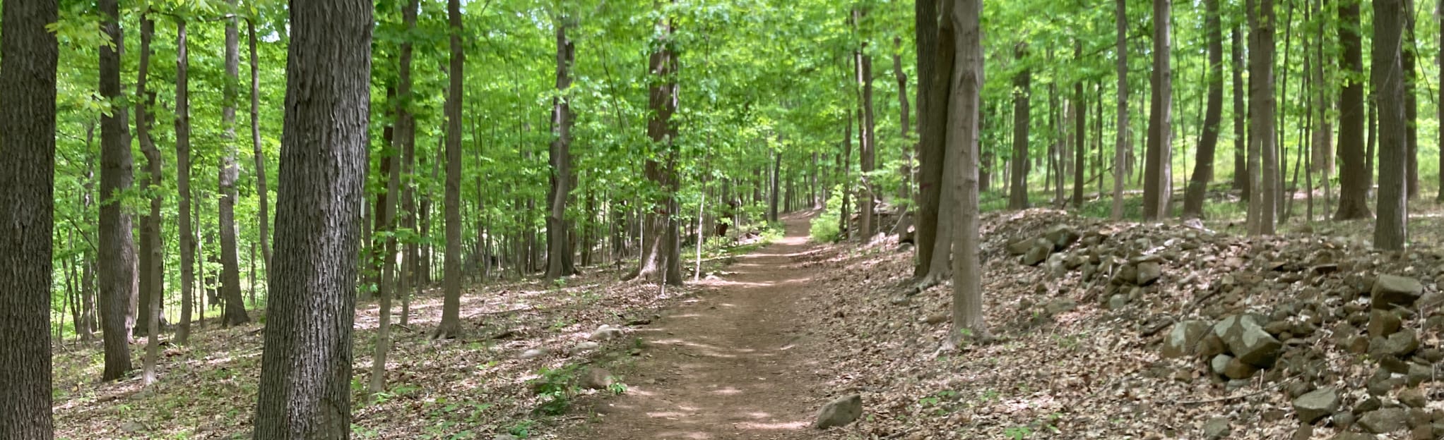 Kuser and Copper Hill Trails Loop, New Jersey - 110 Reviews, Map ...