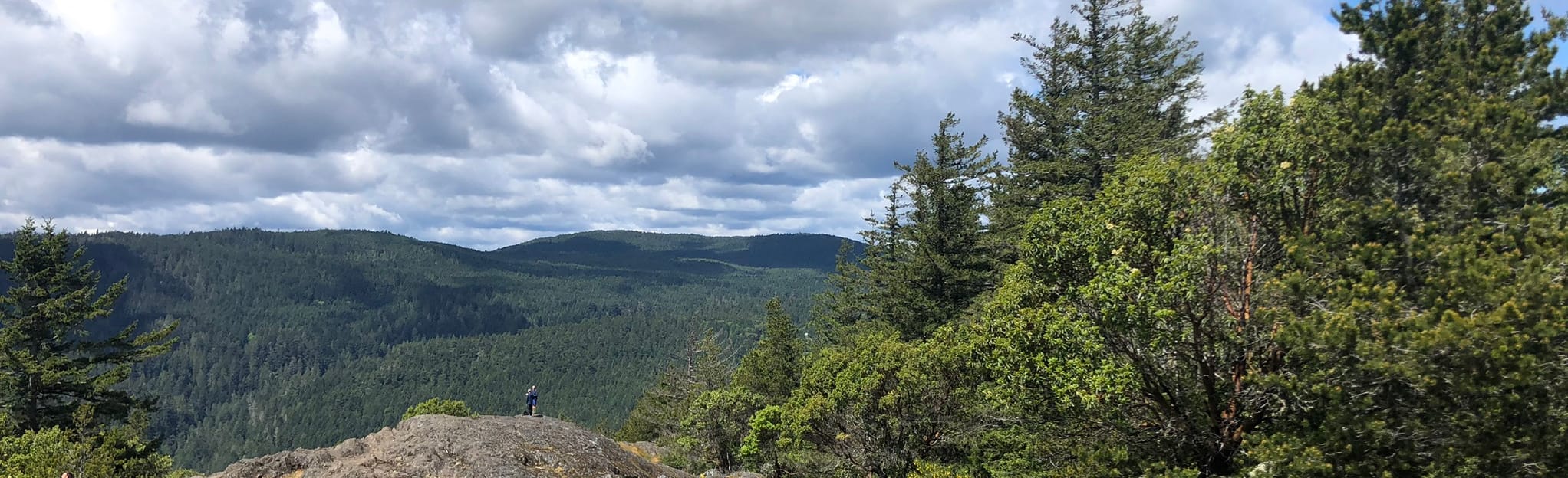 Mount Finlayson via Canada Cup Trail: 59 Reviews, Map - British ...