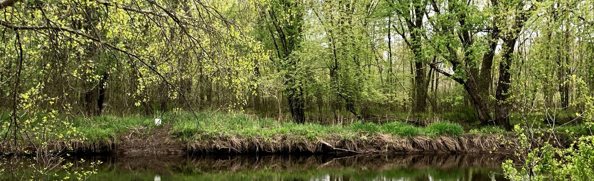 Nashua River and Oxbow Trail Loop: 207 Reviews, Map - Massachusetts ...