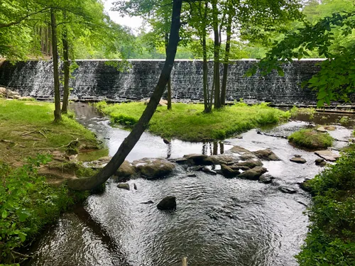 2023 Best River Trails in Clover | AllTrails