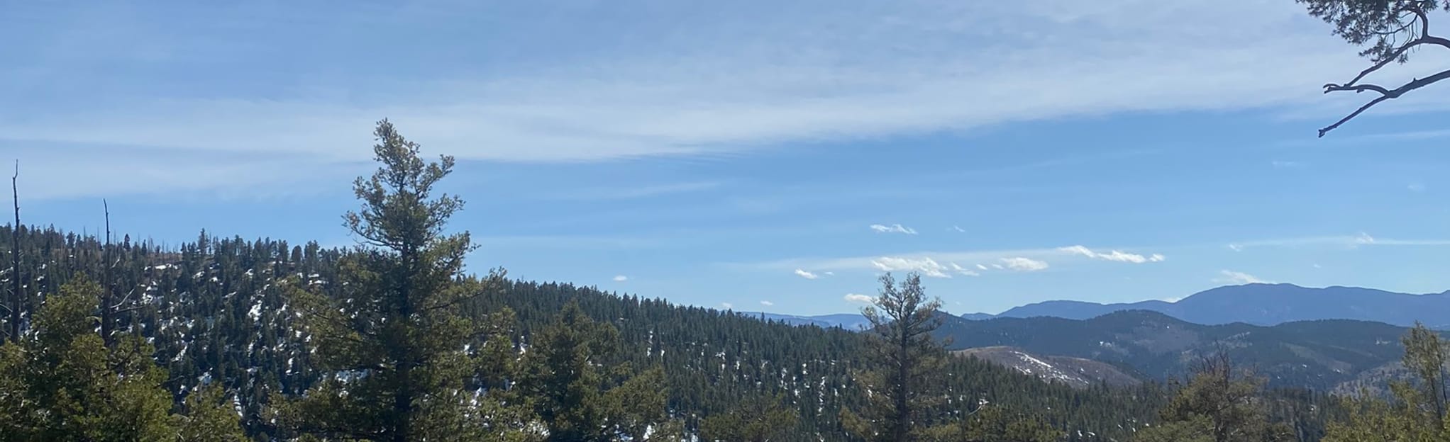 Hackett Gulch OHV Trail: 114 Reviews, Map - Colorado | AllTrails