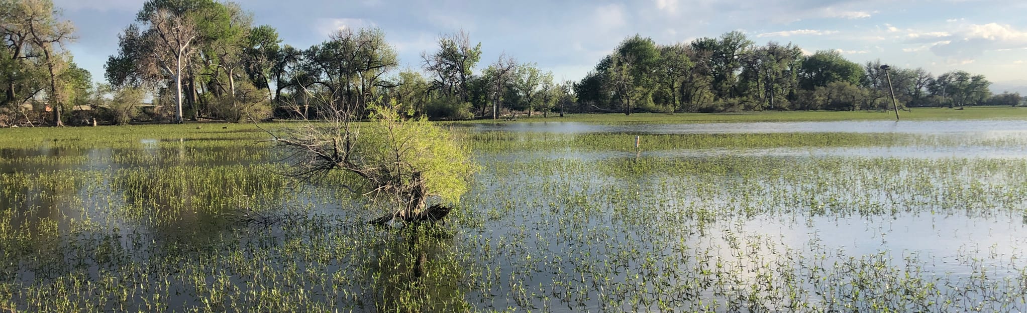 Barr Lake Trail: 563 foto's - Colorado | Wandelen - AllTrails