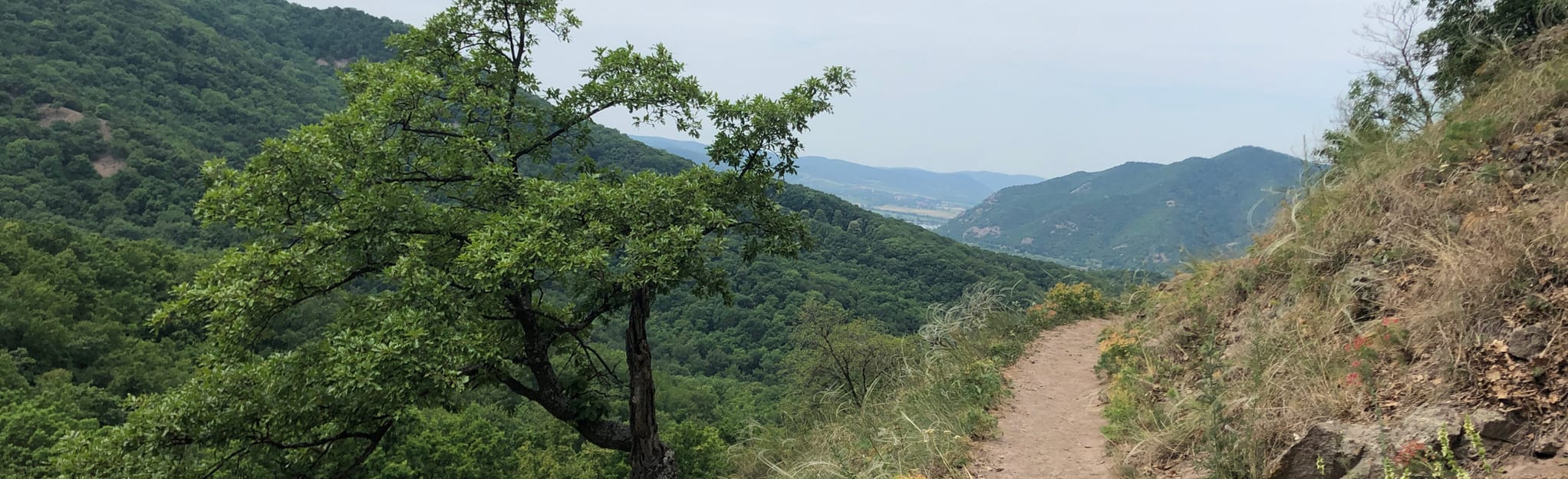Leányfalu – Fekete Hill, Pest, Hungary - 2 Reviews, Map | AllTrails