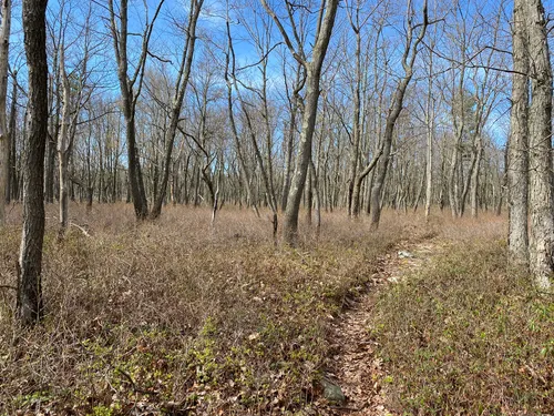 Best Hikes and Trails in State Game Lands Number 141 | AllTrails