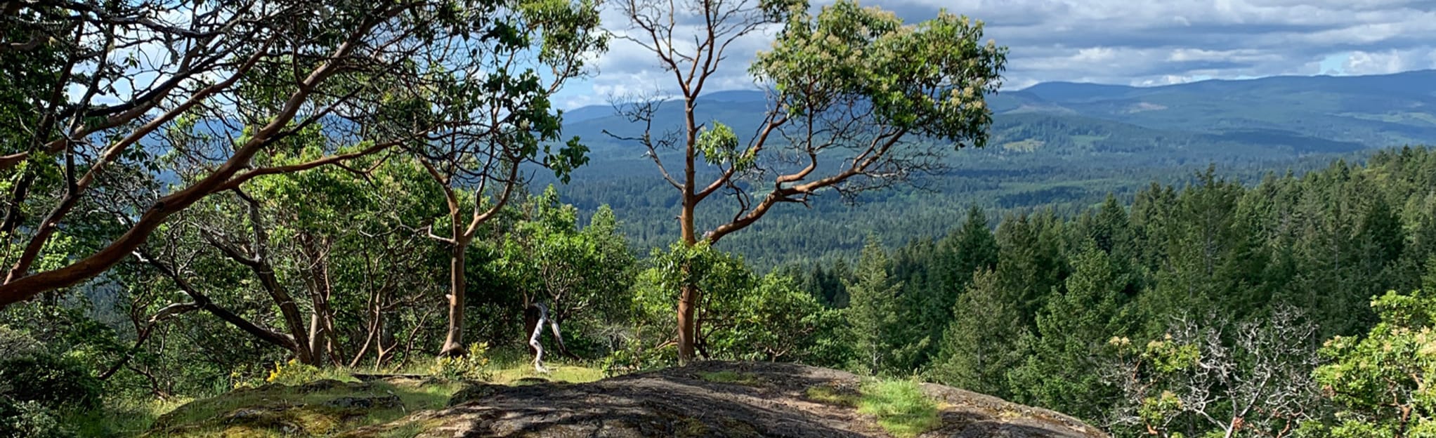 Eagle, Buck, Squirrel, and Turtle Trails Loop: 94 Reviews, Map ...