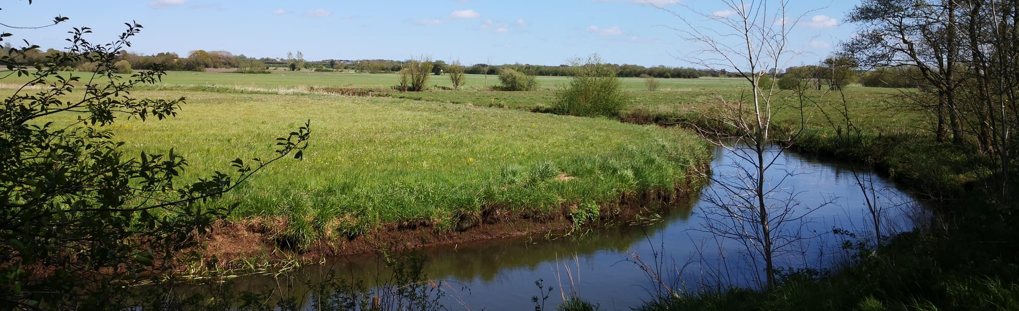 Stensbæk Forest Loop: 37 Reviews, Map - Region of Southern Denmark ...