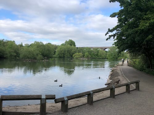 2023 Best River Trails in Reddish Vale Country Park | AllTrails