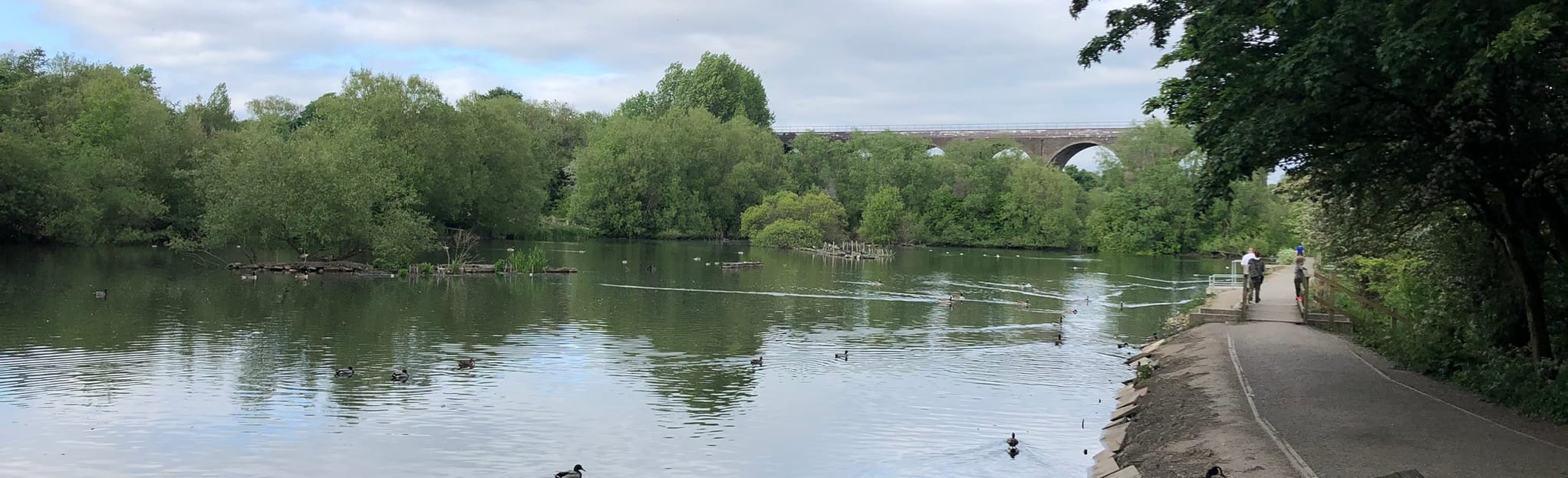 Reddish Vale and River Tame Walk: 115 Reviews, Map - Greater Manchester ...