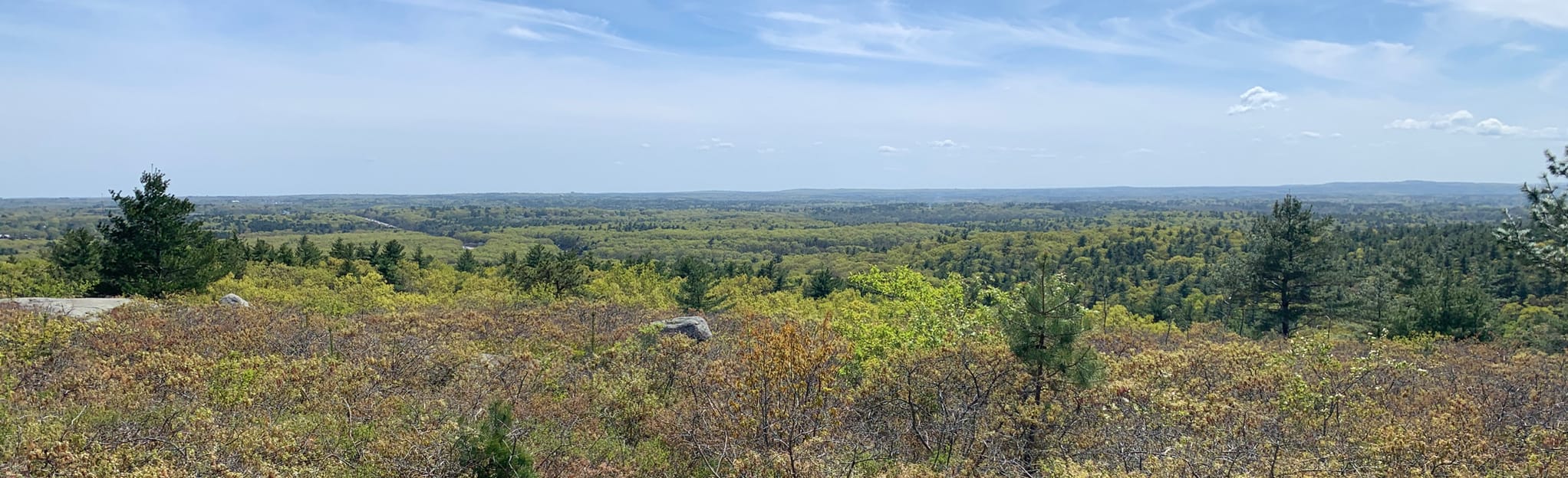 Buck Hill, Massachusetts - 1,284 Reviews, Map | AllTrails