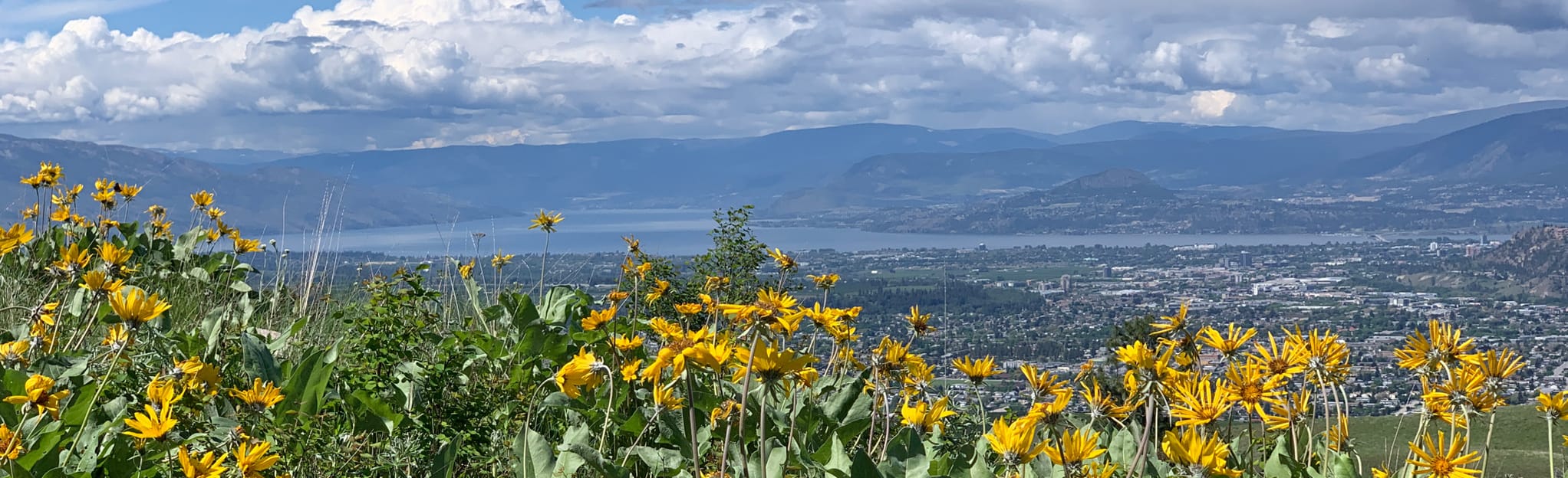 Black Mountain from Tower Ranch, British Columbia, Canada - 6 Reviews ...