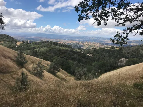 10 Best Hikes and Trails in Mount Diablo State Park | AllTrails