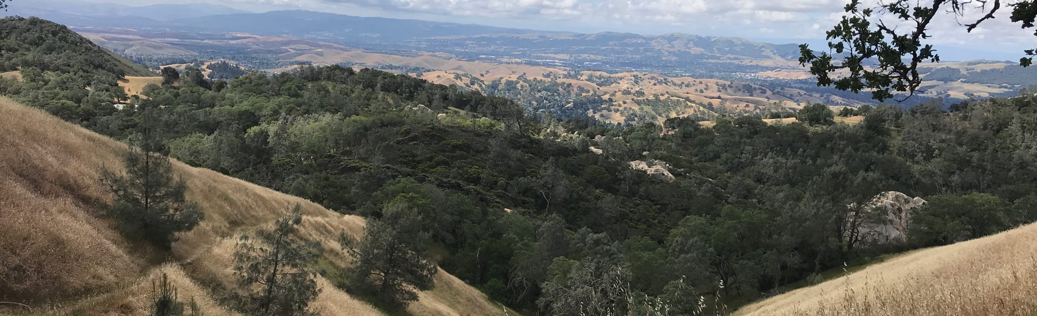 Mount Diablo via Summit Trail, California - 1,284 Reviews, Map | AllTrails