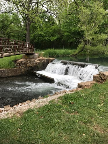 Best Hikes and Trails in Ritter Springs Park | AllTrails
