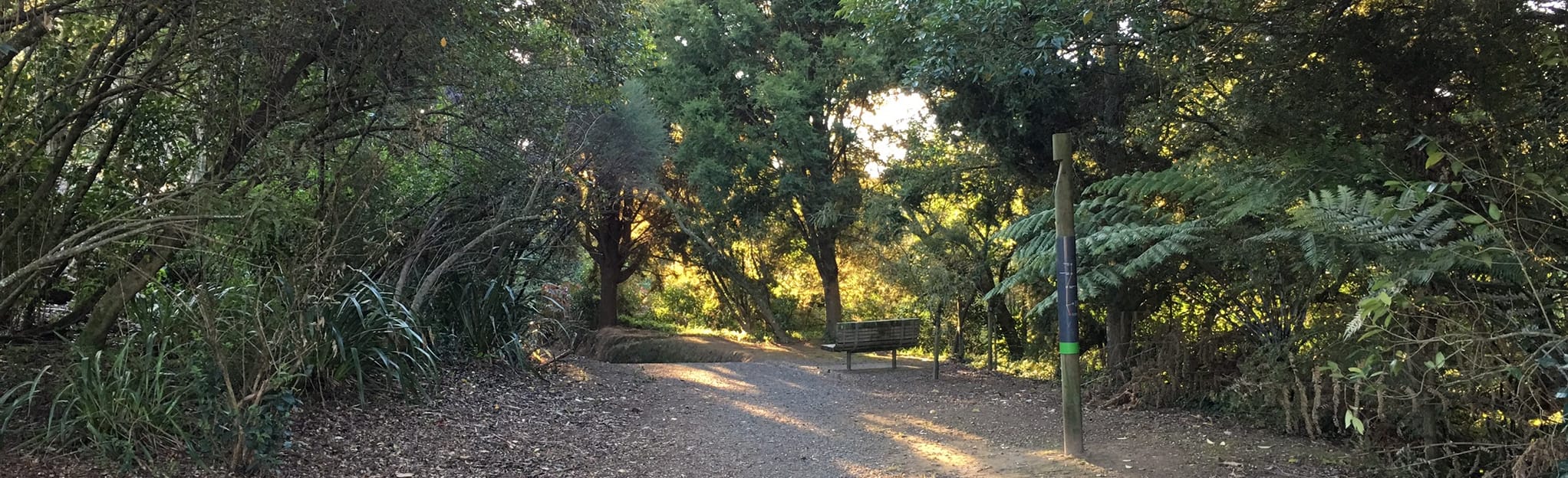 Newstead Walkway: 26 Reviews, Map - Waikato, New Zealand | AllTrails