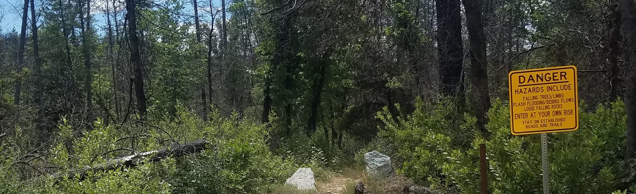 AllTrails | Mule Ridge Trail: 12 Reviews, Map - California