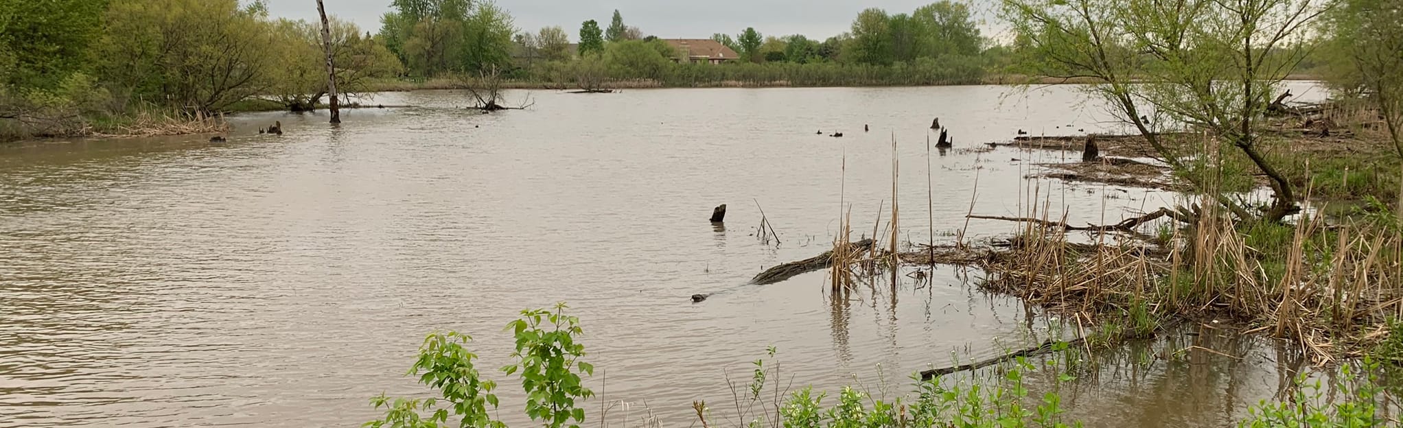 Old Plank Road Trail: Cedar Road to Prairie Ridge Park, Illinois - 147 ...