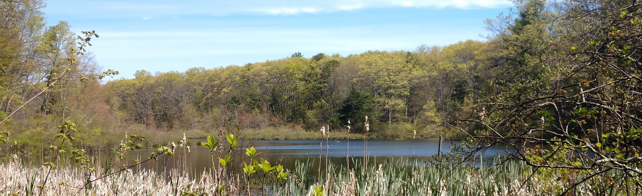 North Attleboro Fish Hatchery Loop: 84 Reviews, Map - Massachusetts ...