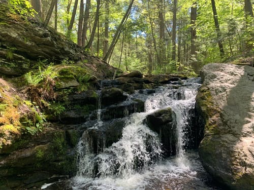 Best state parks in Connecticut | AllTrails
