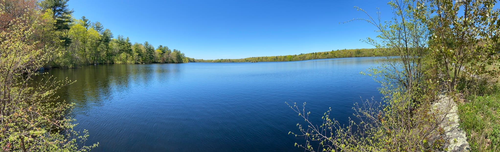 D.W. Field Park, Massachusetts - 323 Reviews, Map | AllTrails
