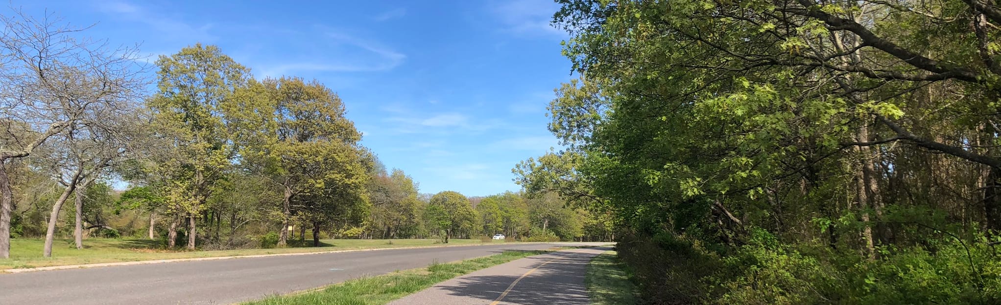 Heckscher State Park Bike Path: 925 Reviews, Map - New York | AllTrails