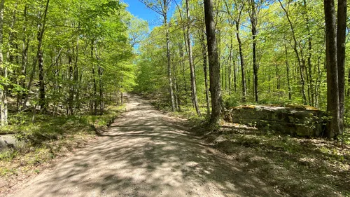 Best 10 Hikes and Trails in Meshomasic State Forest | AllTrails